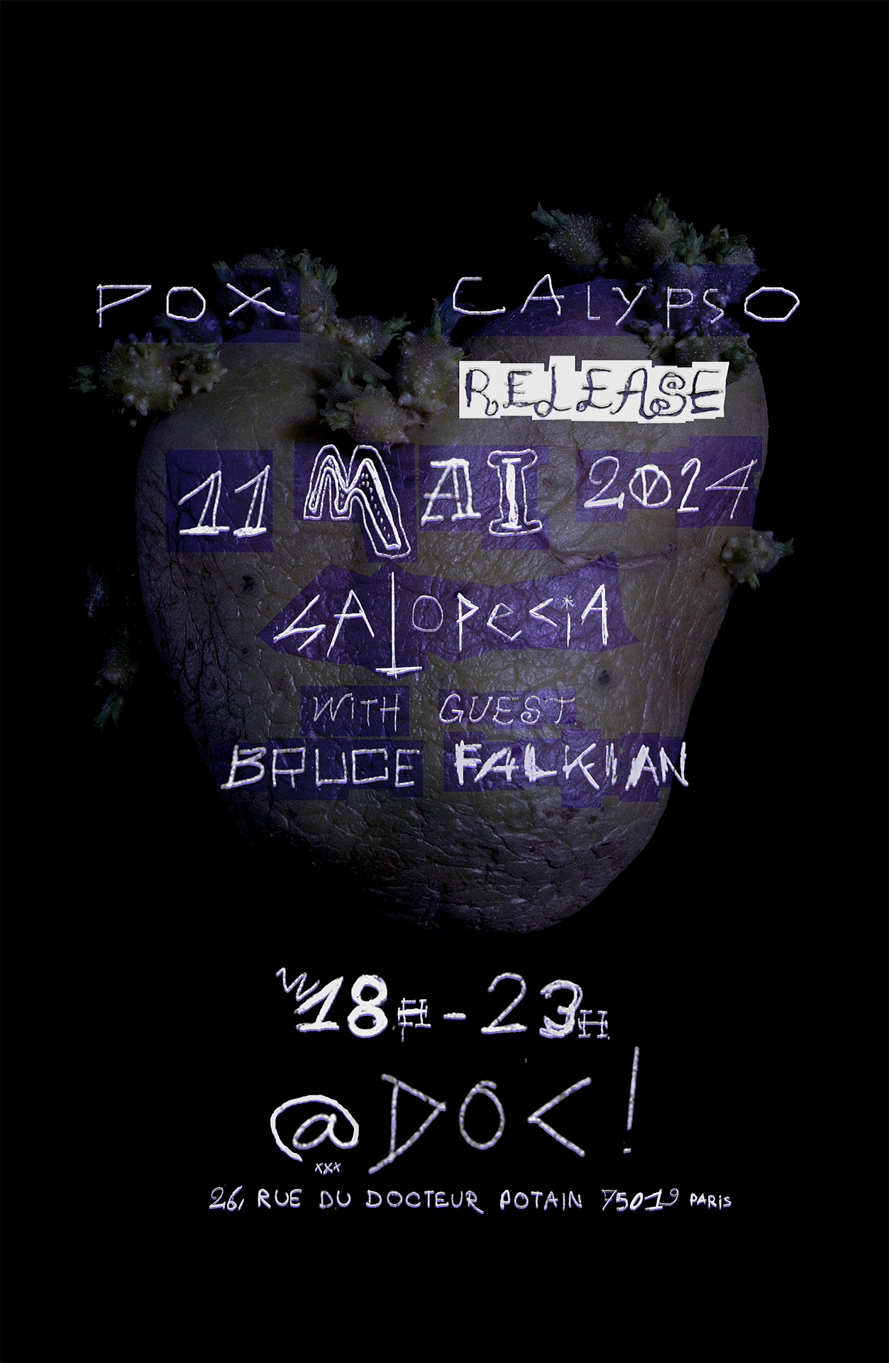 Salopecia & co - DOC!